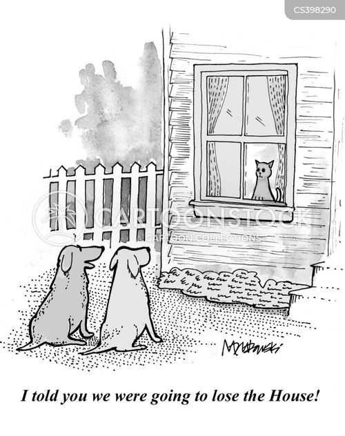 Political House Cat Cartoons and Comics - funny pictures from CartoonStock