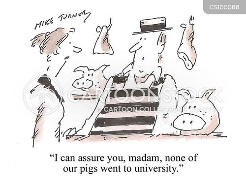 Pig Gate Memes Smiling Pig Rescued From China Floodwater Sparks