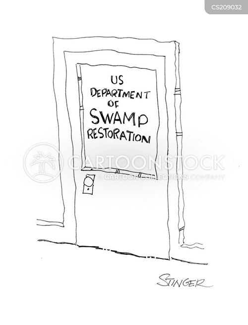 Drain The Swamp Cartoons and Comics - funny pictures from CartoonStock