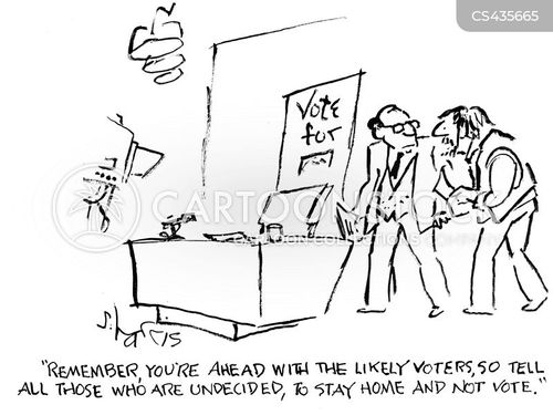 Undecided Voters Cartoons and Comics - funny pictures from CartoonStock