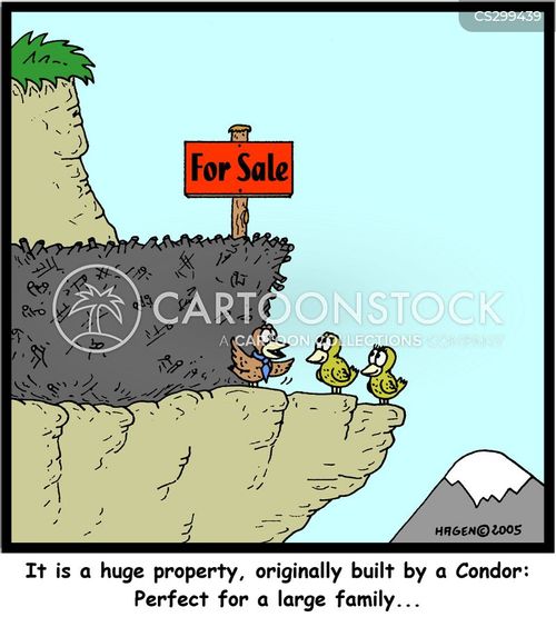 Condor Cartoons and Comics - funny pictures from CartoonStock