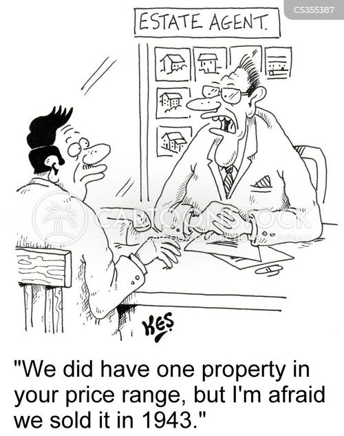 First Time Buyers Cartoons and Comics - funny pictures from CartoonStock