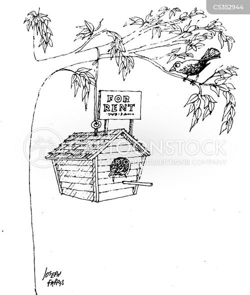 Bird Boxes Cartoons and Comics - funny pictures from CartoonStock