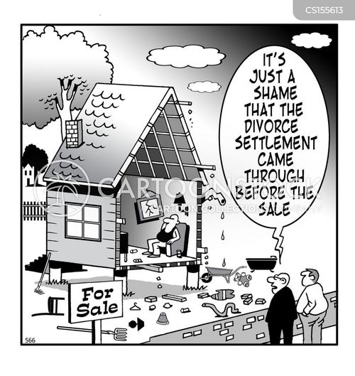 Division Of Assets Cartoons and Comics - funny pictures from CartoonStock