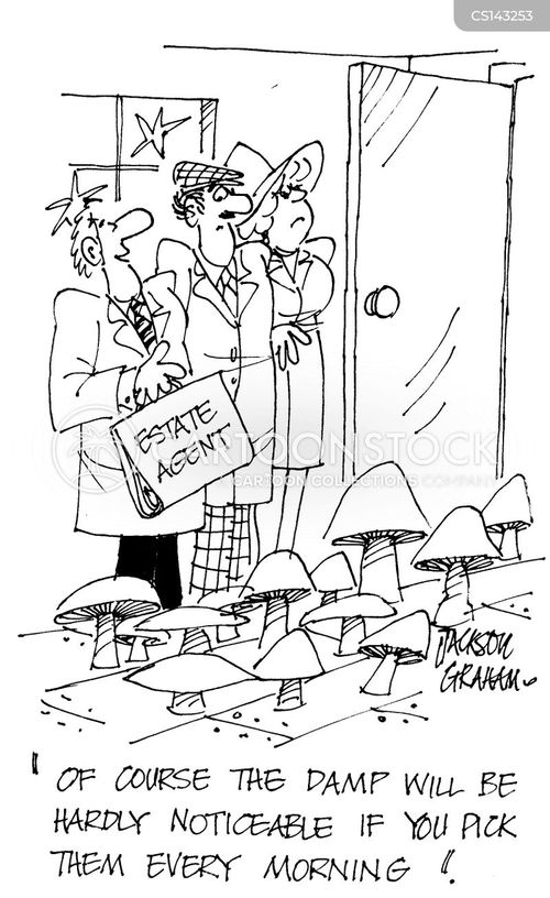 Rising Damp Cartoons and Comics - funny pictures from CartoonStock