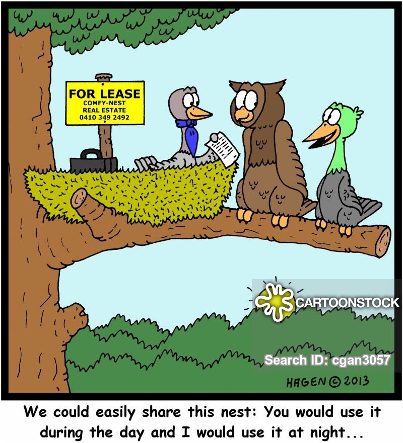 House Share Cartoons and Comics - funny pictures from CartoonStock