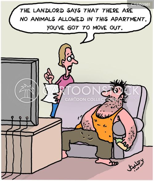 Rental Properties Cartoons and Comics - funny pictures from CartoonStock