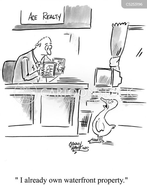 Purchasing Property Cartoons and Comics - funny pictures from CartoonStock
