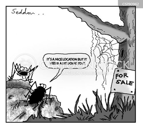 Property Development Cartoons and Comics - funny pictures from CartoonStock