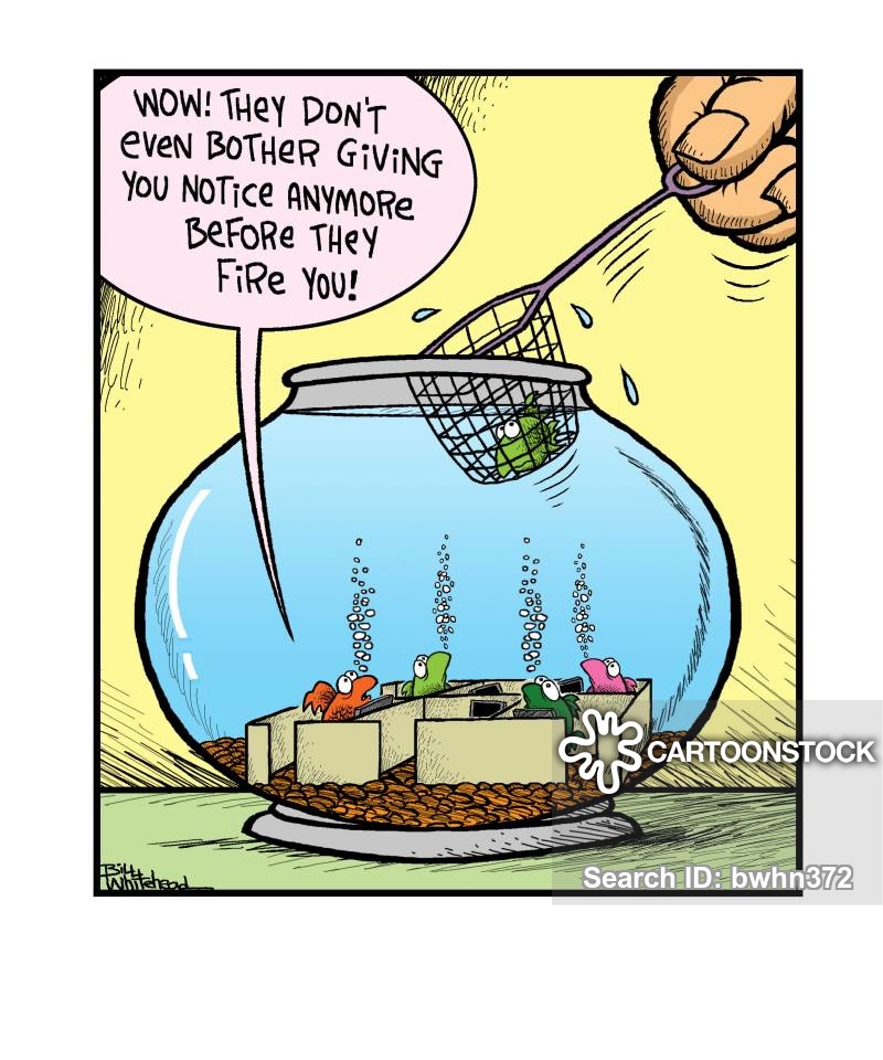 Goldfish Bowl Cartoons and Comics - funny pictures from CartoonStock