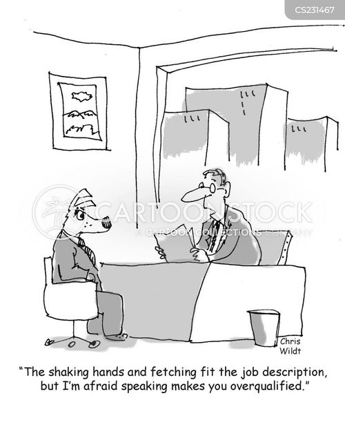 Qualifications Assessment Cartoons and Comics - funny pictures from ...