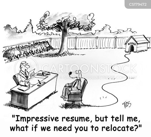 Job Search Cartoons and Comics - funny pictures from CartoonStock