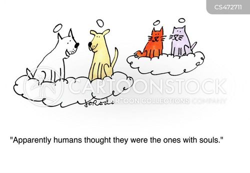 Spiritual Life Cartoons and Comics - funny pictures from CartoonStock