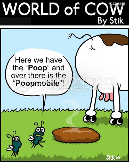 Cow Poop Memes