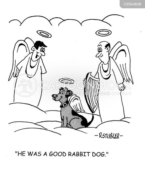 Rabbit Dog Cartoons and Comics - funny pictures from CartoonStock