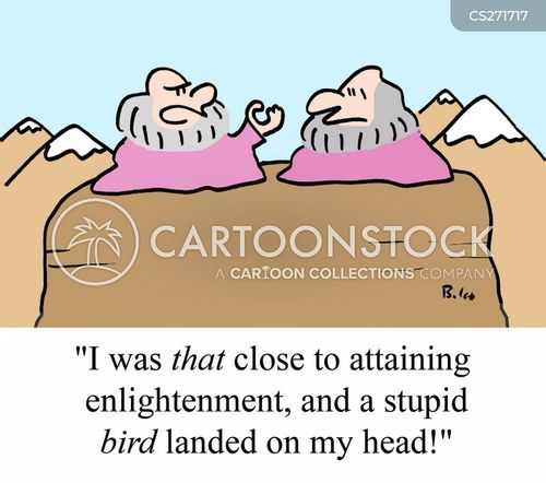 Enlightenment Journey Cartoons and Comics - funny pictures from ...