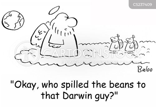 Spilled The Beans Cartoons and Comics - funny pictures from CartoonStock