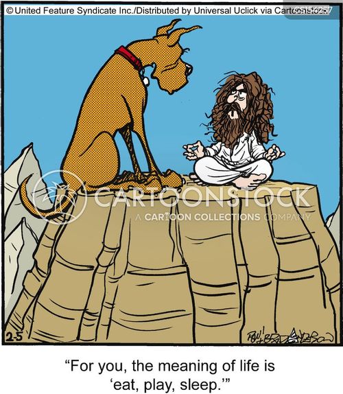 Philosophy Of Life Cartoons and Comics - funny pictures from CartoonStock