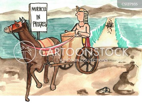 Life's Ambition Cartoons and Comics - funny pictures from CartoonStock