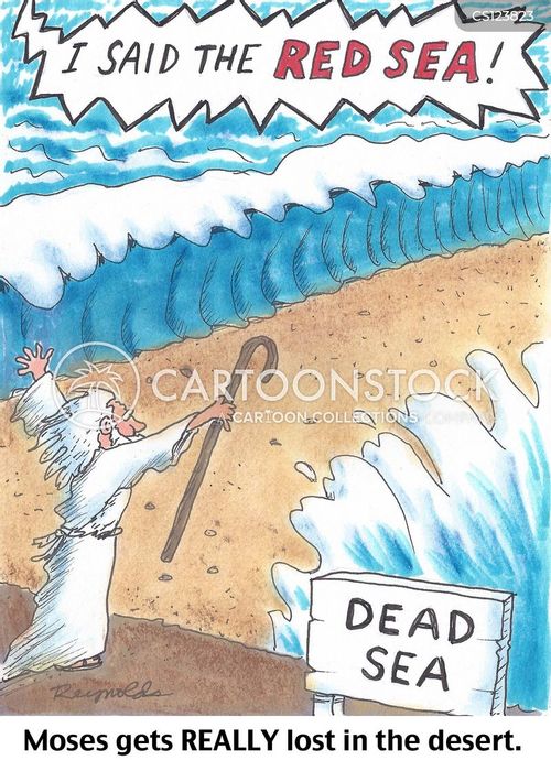 Dead Sea Cartoons and Comics - funny pictures from CartoonStock