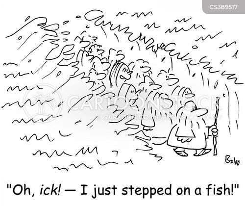 Stepped Cartoons and Comics - funny pictures from CartoonStock