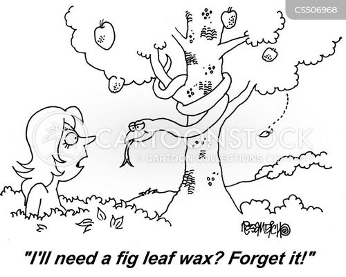 Fig Cartoons and Comics - funny pictures from CartoonStock