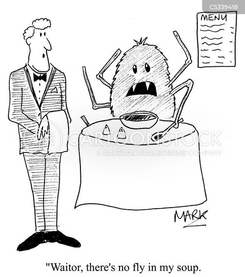 There's A Fly In My Soup Cartoons and Comics - funny pictures from ...
