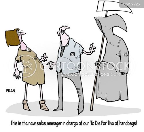 Funny Sales Manager Job Description Sales Experience