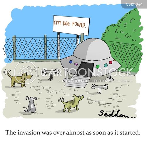 Dog Pound Cartoons and Comics - funny pictures from CartoonStock
