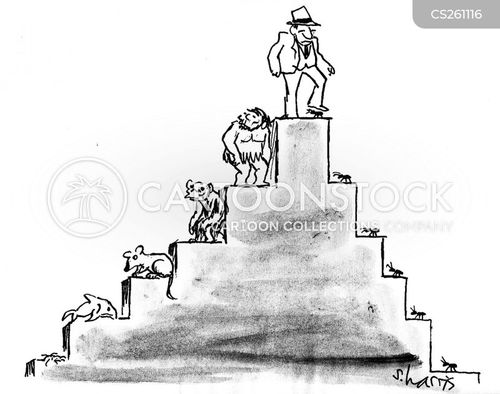 Physical Evolution Cartoons and Comics - funny pictures from CartoonStock