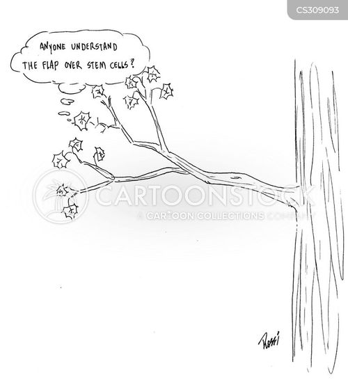 Stem (science Cartoons and Comics - funny pictures from CartoonStock