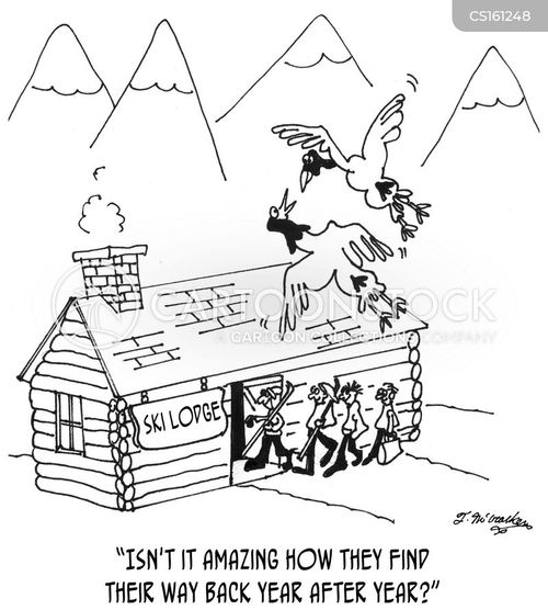 Ski Lodge Cartoons and Comics - funny pictures from CartoonStock