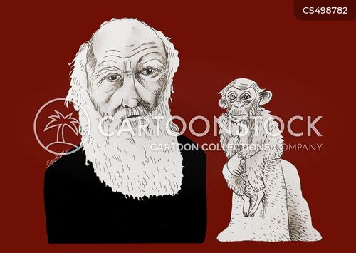 Evolution Of Man Cartoons and Comics - funny pictures from CartoonStock