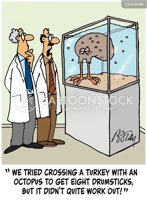 Crossbreed Cartoons and Comics - funny pictures from CartoonStock
