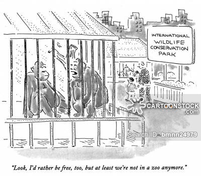 Zoo Cartoons and Comics - funny pictures from CartoonStock