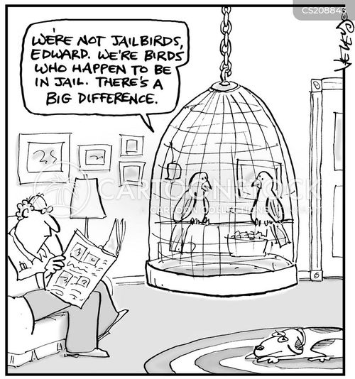 Jailbird Cartoons and Comics - funny pictures from CartoonStock