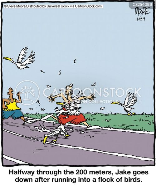 Birds Running Cartoons and Comics - funny pictures from CartoonStock