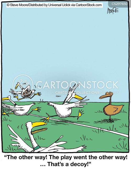 Decoy Cartoons and Comics - funny pictures from CartoonStock