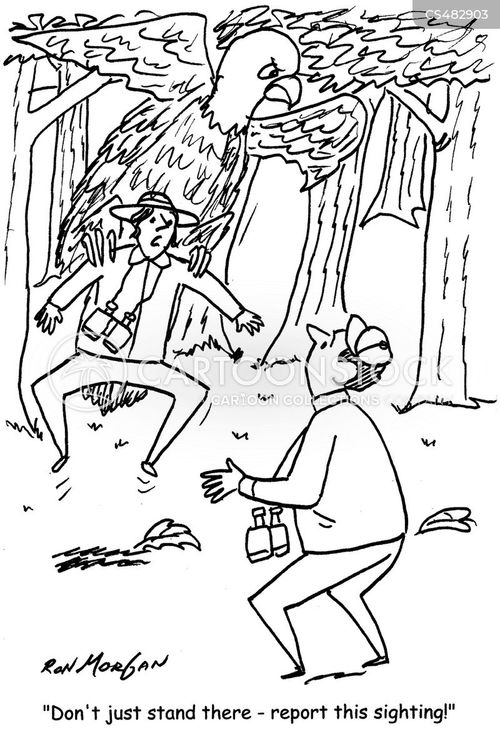 Rare Bird Cartoons and Comics - funny pictures from CartoonStock