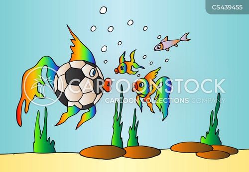 Fish And Football Cartoons and Comics - funny pictures from CartoonStock