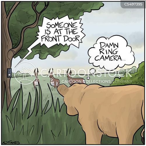 Ring Camera Cartoons and Comics - funny pictures from CartoonStock