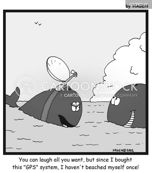 Beached Whale Cartoons and Comics - funny pictures from CartoonStock