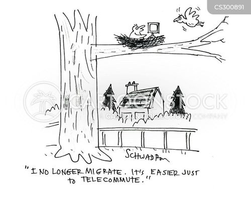 Telecommuters Cartoons and Comics - funny pictures from CartoonStock