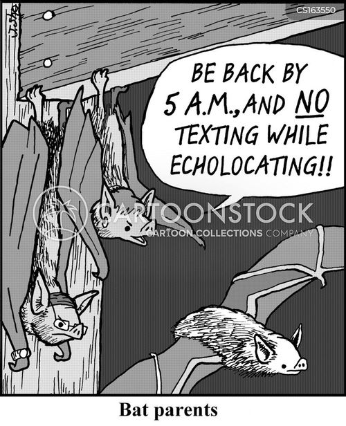 Distracted Driving Cartoons and Comics - funny pictures from CartoonStock