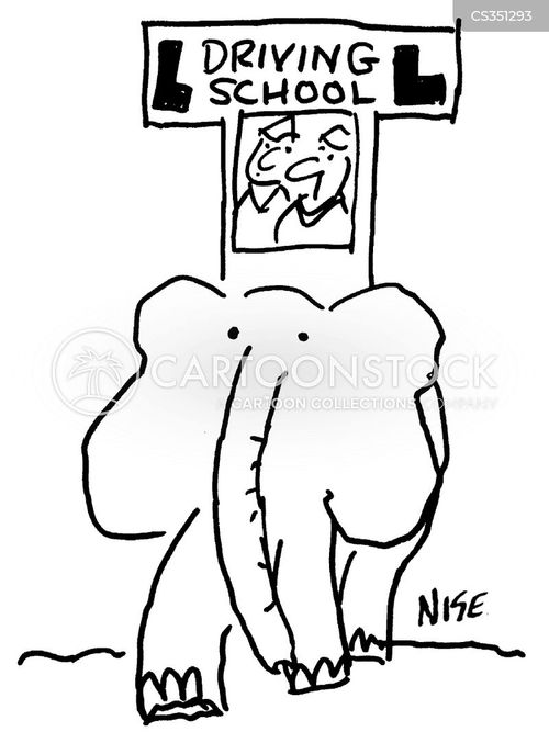 Driving School Cartoons and Comics - funny pictures from CartoonStock