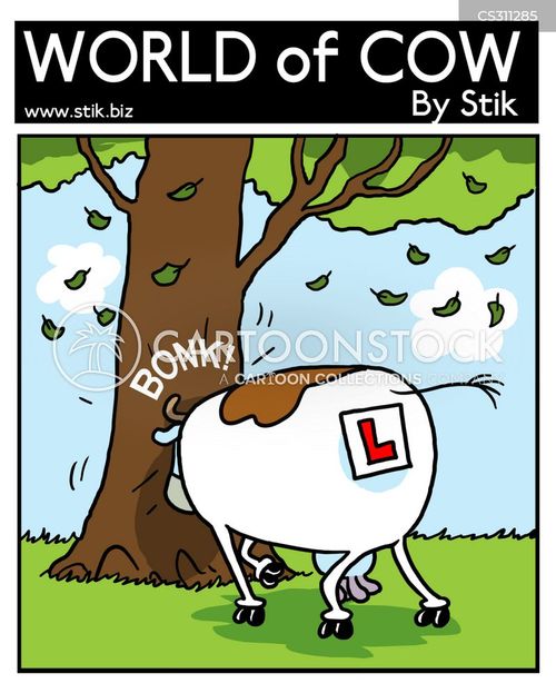 L Plates Cartoons and Comics - funny pictures from CartoonStock