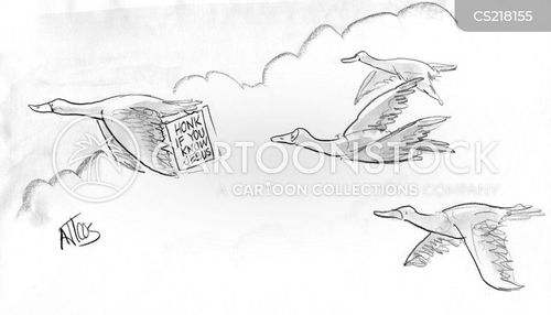 Migratory Cartoons and Comics - funny pictures from CartoonStock