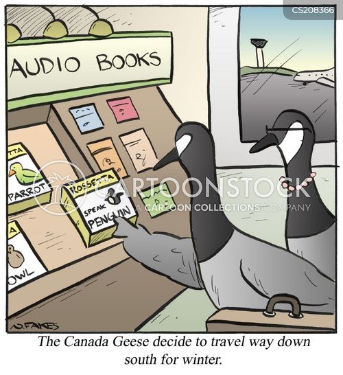 Funny Canada Day Cartoons