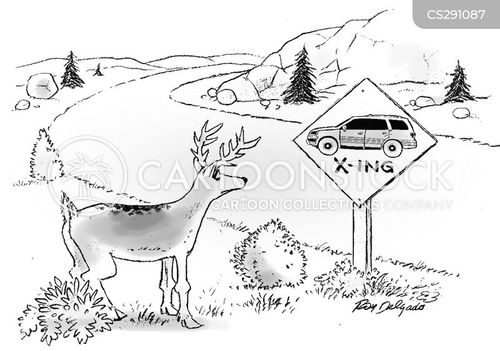 One Way System Cartoons and Comics - funny pictures from CartoonStock