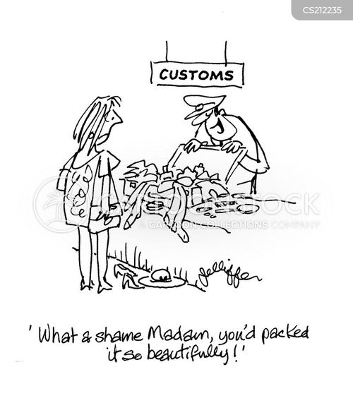 Customs Declaration Form Cartoons and Comics - funny pictures from ...